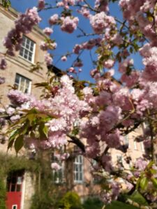 About Us – Old Hall Community