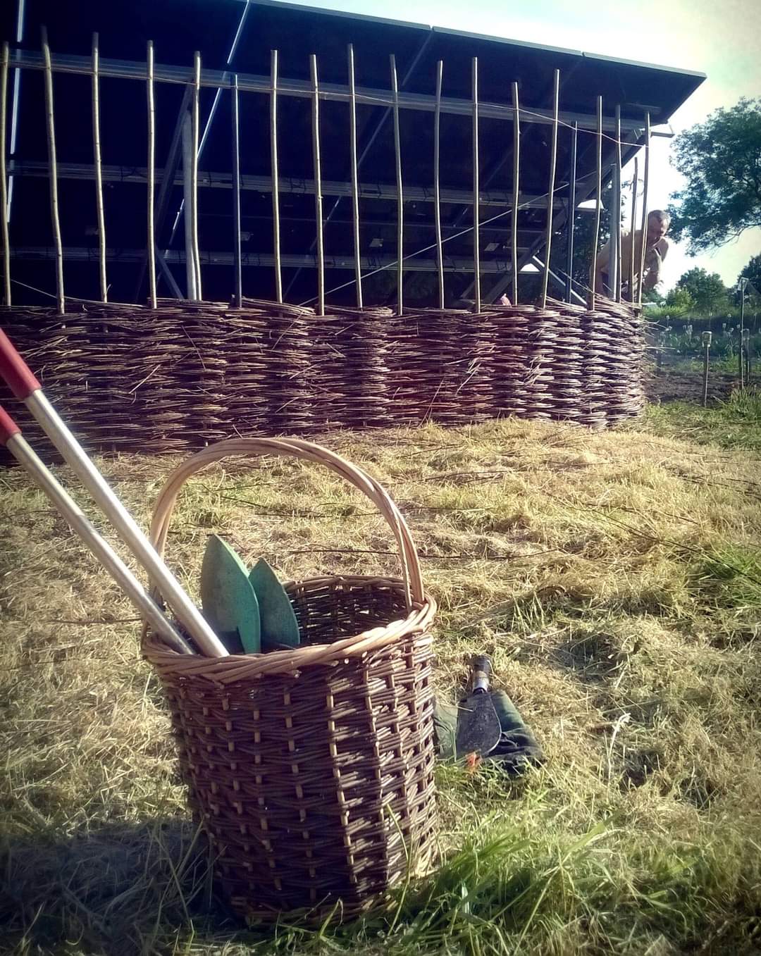 The Land – Old Hall Community