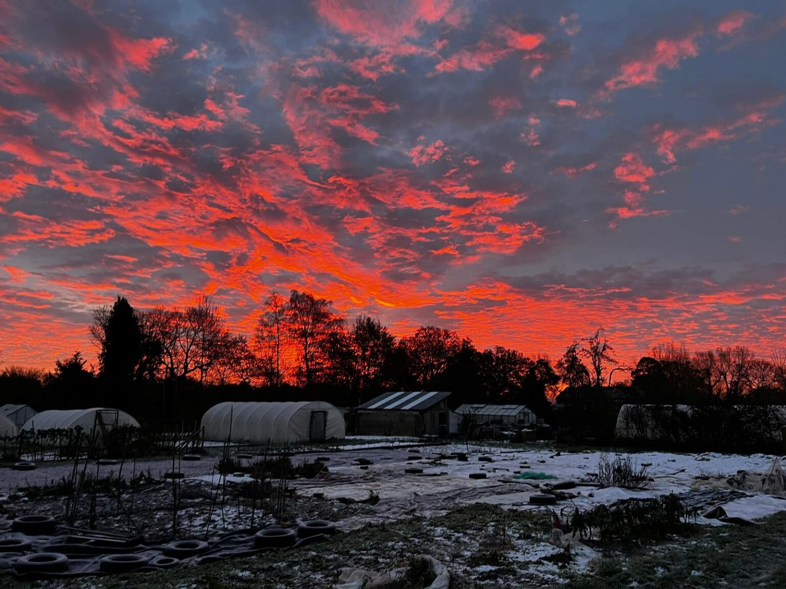 The Land – Old Hall Community