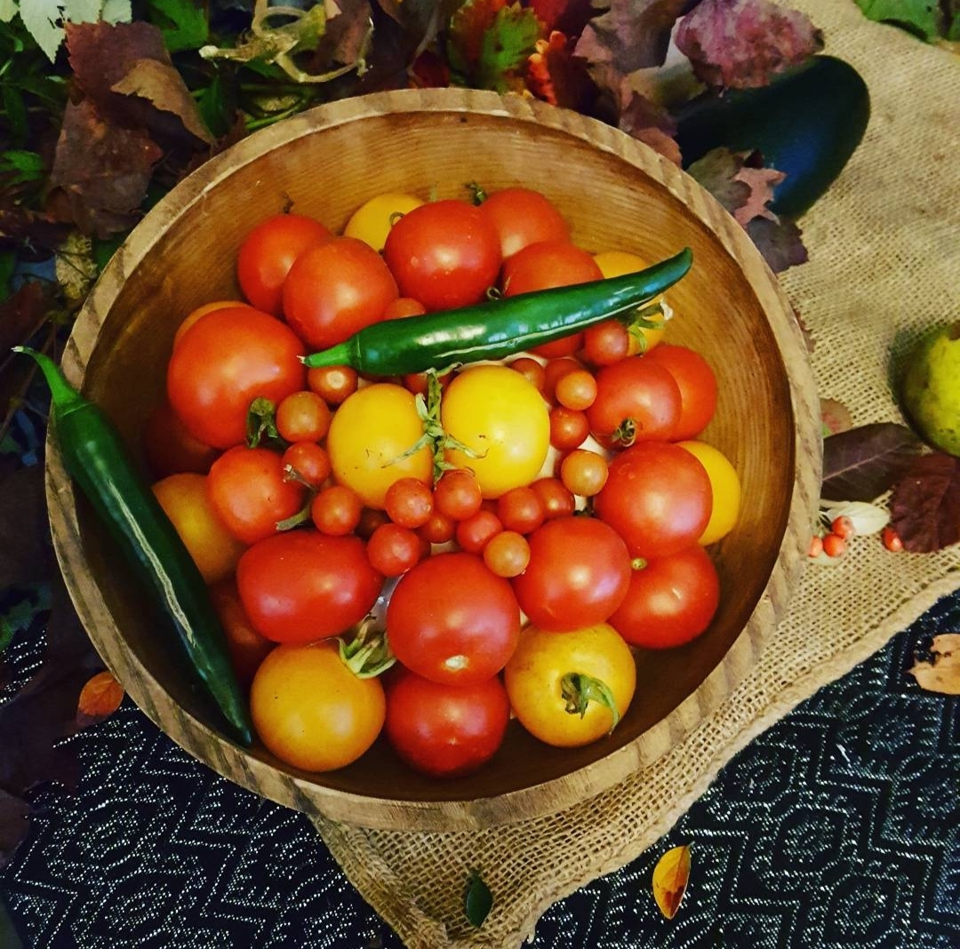 Joining – Old Hall Community